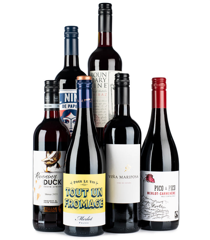 All NEW Skinny Red Wine Case - Low Calorie Wine | DrinkWell UK
